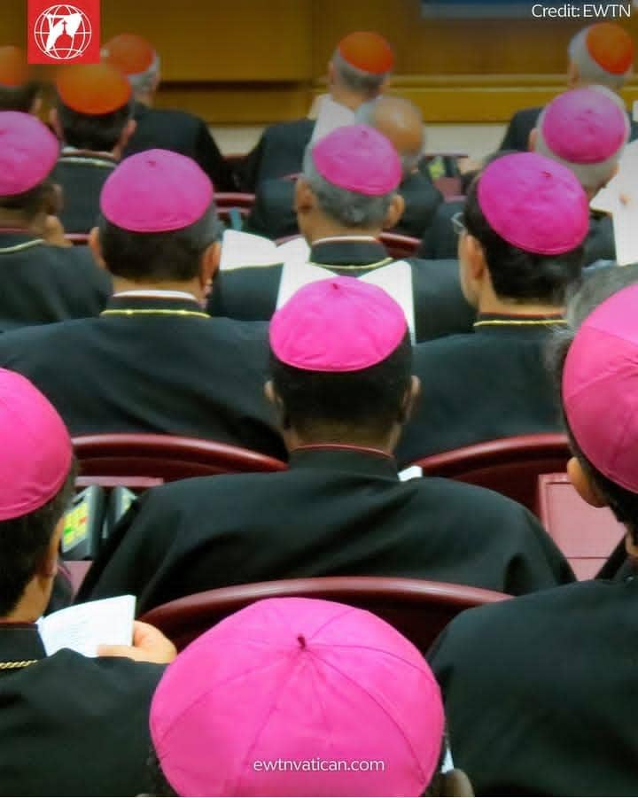 The Liturgy Question: When a non-cardinal becomes a pope - Ask The ...